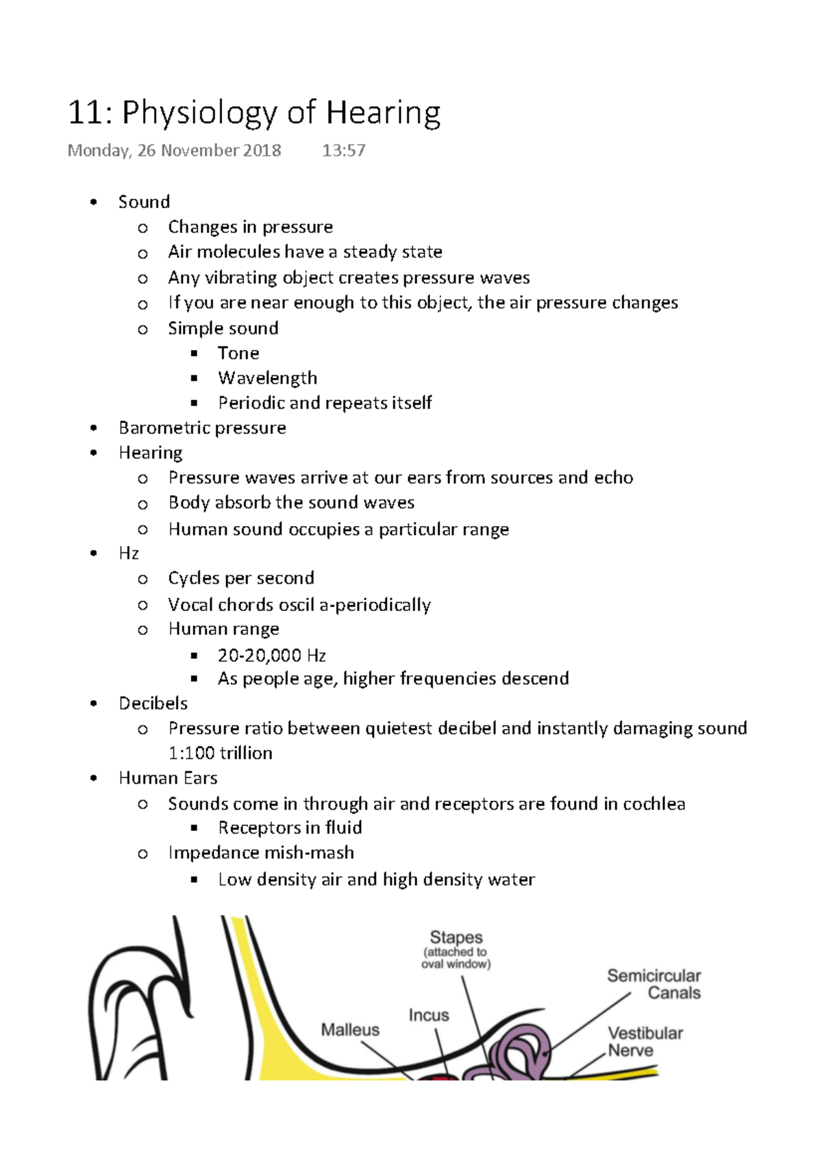 11 Physiology of Hearing - Sound Changes in pressure Air molecules have ...