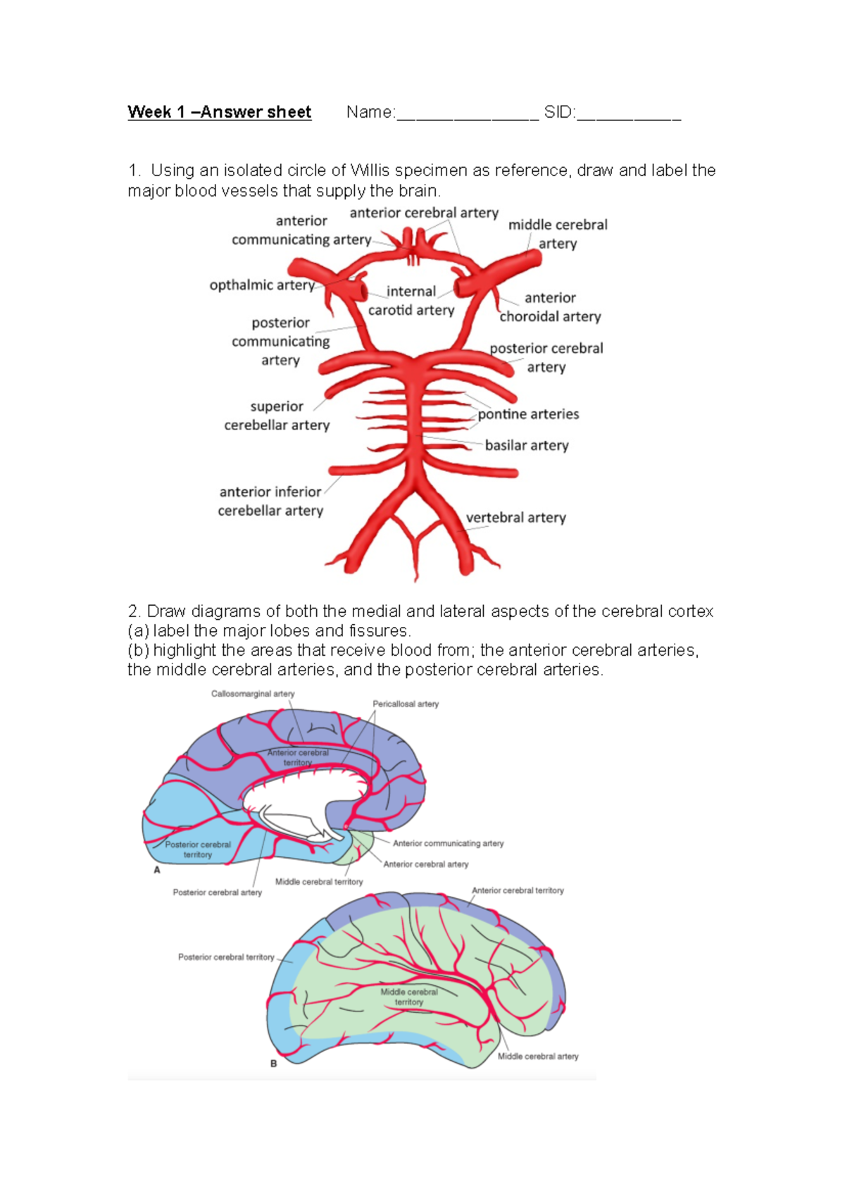 Week 1 – Answers - work - 300754 - Week 1 – Answer sheet Name:_______________ SID ...