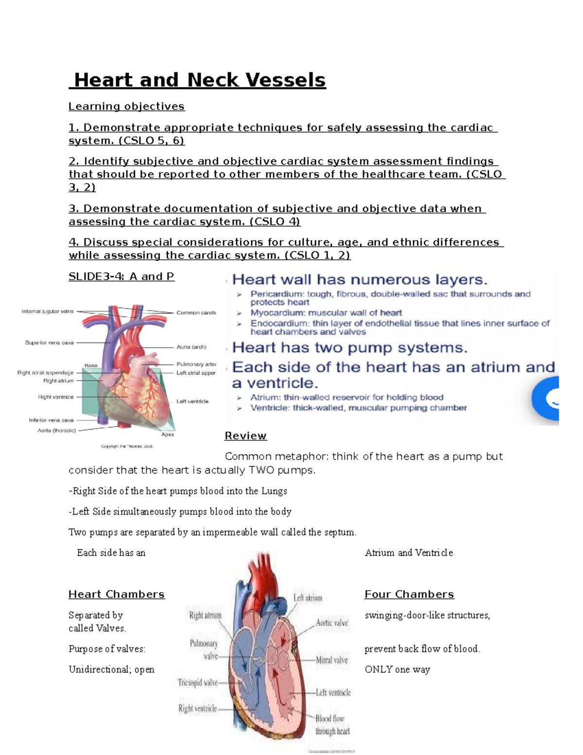 Heart and Neck Vessels EXAM 3 - Heart and Neck Vessels Learning ...