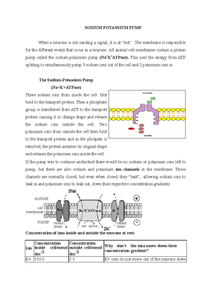 Antidotal therapy - Lecture notes 1-3 - ANTIDOTAL THERAPY The ability ...