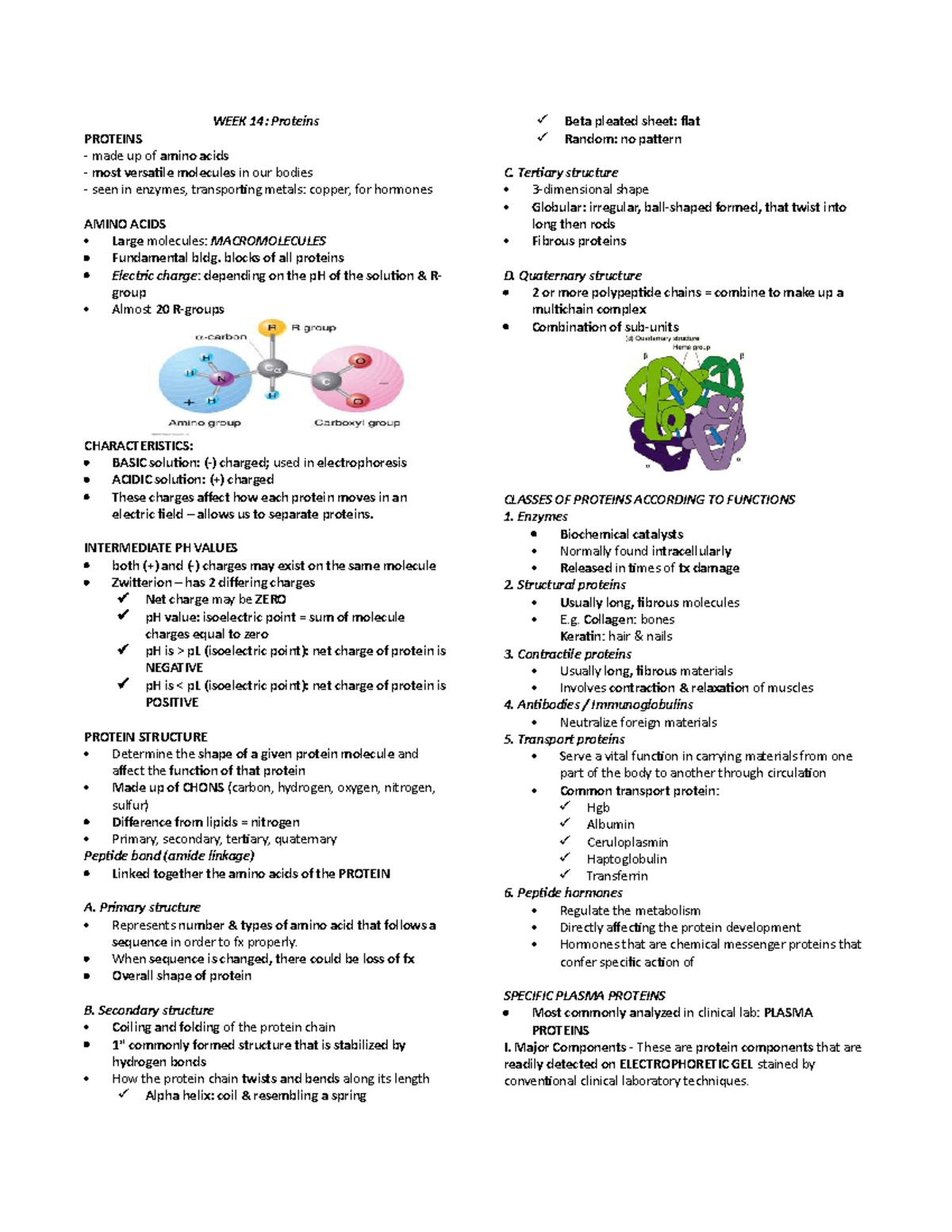 WEEK 14 - Proteins lecture notes - WEEK 14: Proteins PROTEINS made up ...