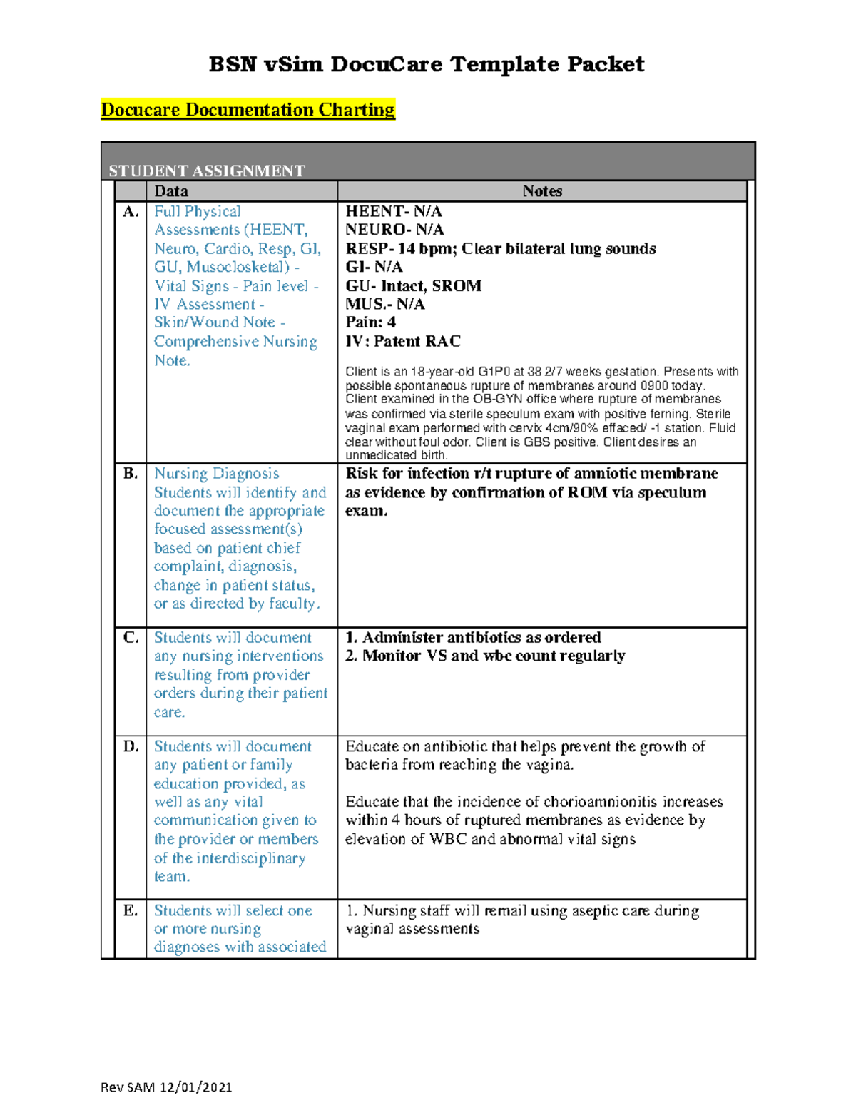NSG222 Docu Care BP - BSN vSim DocuCare Template Packet Rev SAM 12/01/ Docucare Documentation ...