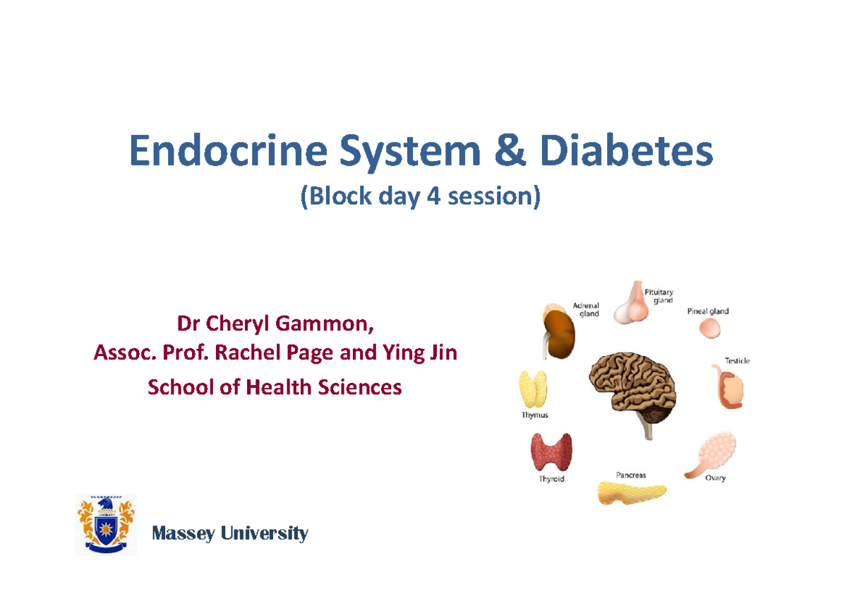 2 Endocrine Block Slides 1 slide per page - Endocrine System & Diabetes ...