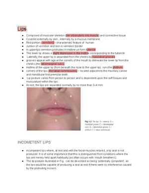 Cheeks - CHEEKS The cheeks extend intraorally from the labial ...