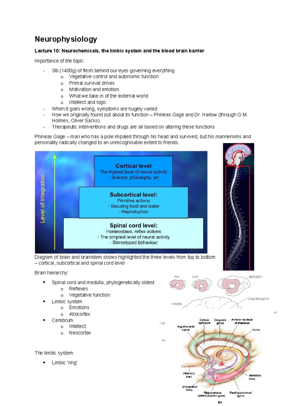 Physiology of the neuromuscular system (PBCP,2,1) - Neurophysiology ...