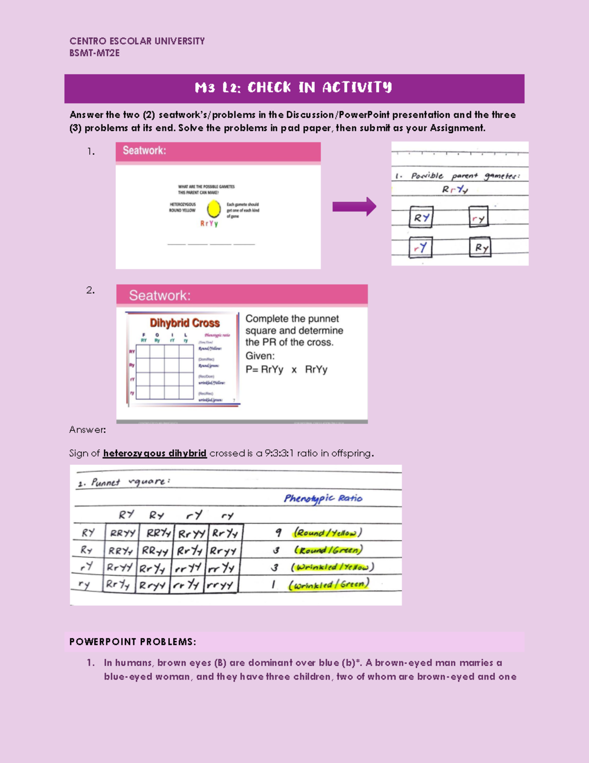 Dihybrid Cross Word Problem - CENTRO ESCOLAR UNIVERSITY BSMT-MT2E M3 L2 ...