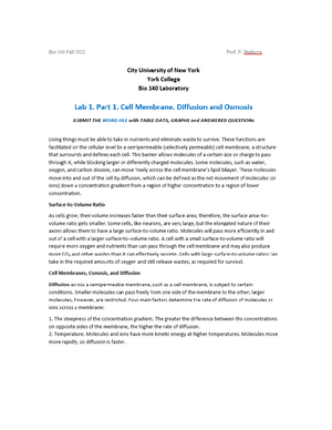 AP 1 - Professor Benjamin - BIO 234 - Studocu