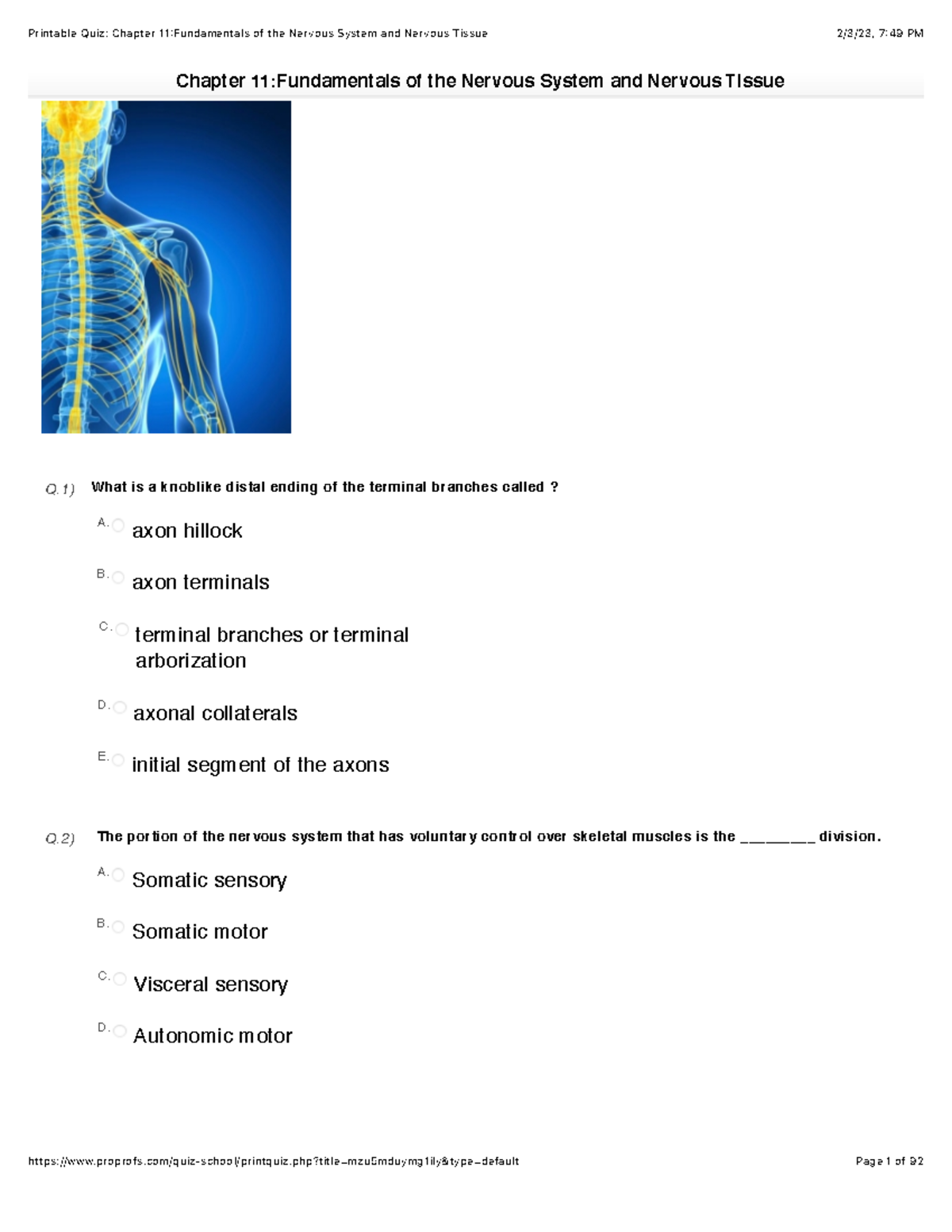 4Printable Quiz: Chapter 11:Fundamentals of the Nervous System and ...