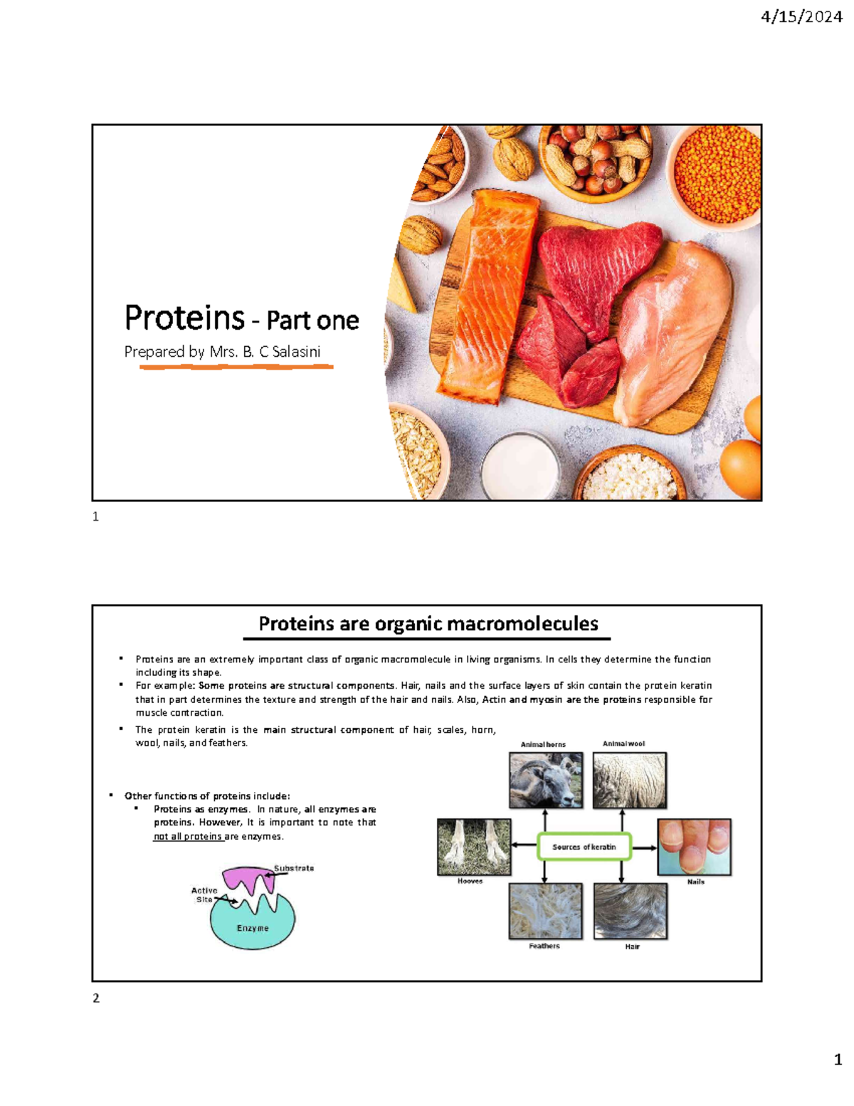 Proteins Lect one Handout 240415 160806 - Proteins - Part one Prepared ...