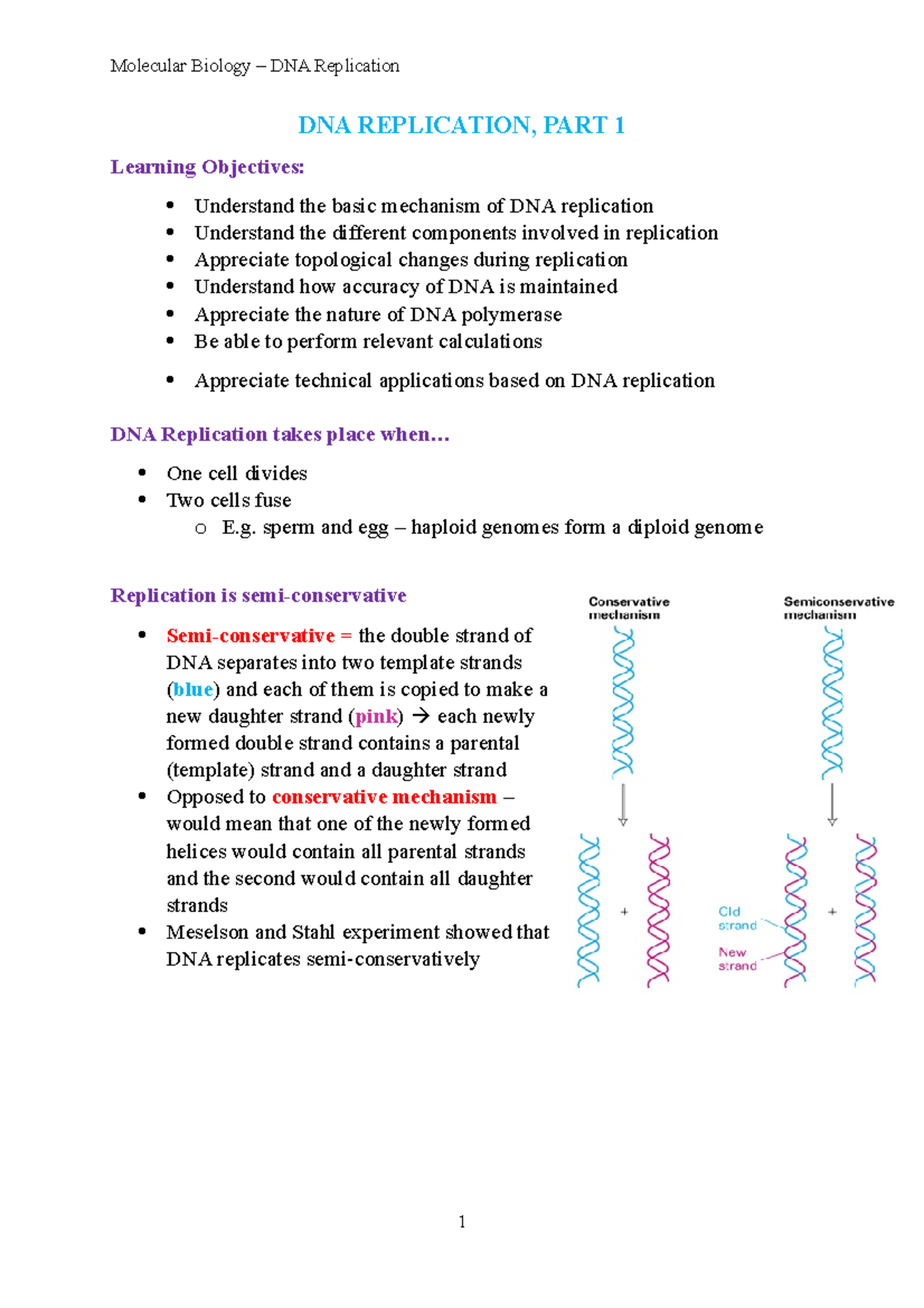 DNA Replication - Lecture notes from the first topic - Cell and ...