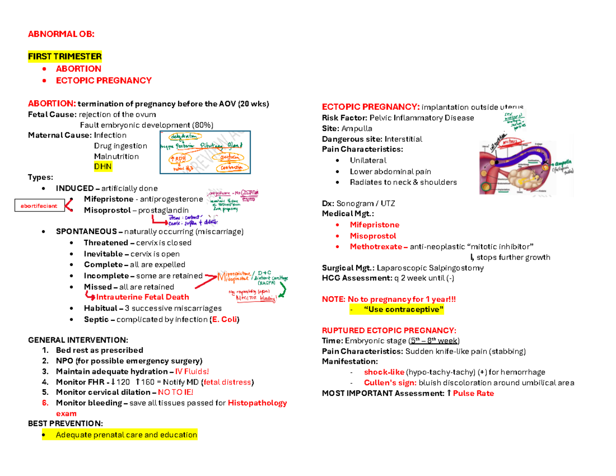 Abnormal OB - ABNORMAL OB: FIRST TRIMESTER ABORTION ECTOPIC PREGNANCY ...