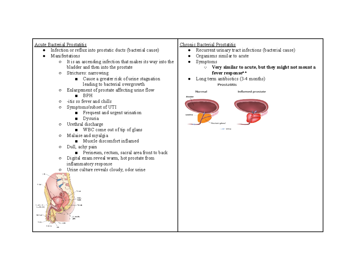 Patho Unit 4 - Female and Male repro - Acute Bacterial Prostatitis ...