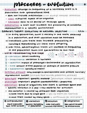 Chapter 13 How population evolve - Chapter 13 How population evolve ...