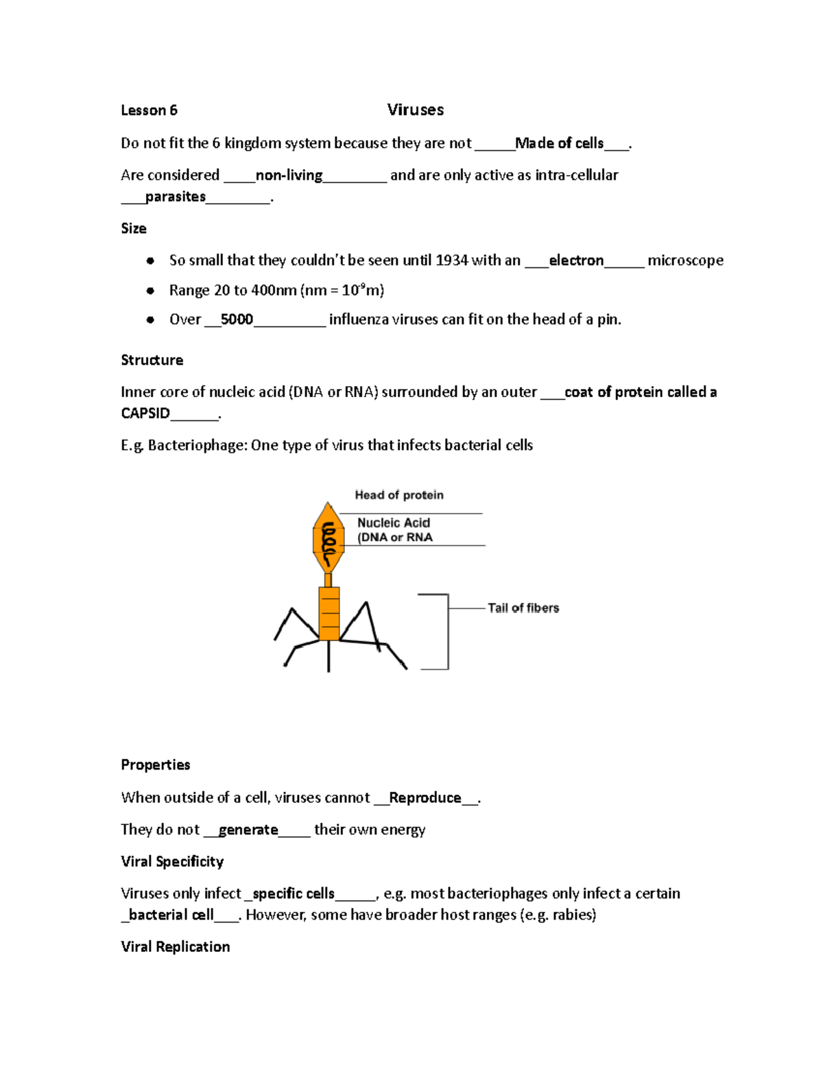 Copy of Copy of Lesson 6 Viruses - Lesson 6 Viruses Do not fit the 6 ...