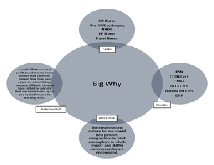 LDR 4101C Dissecting a Job - Job Description As a Patient Care ...