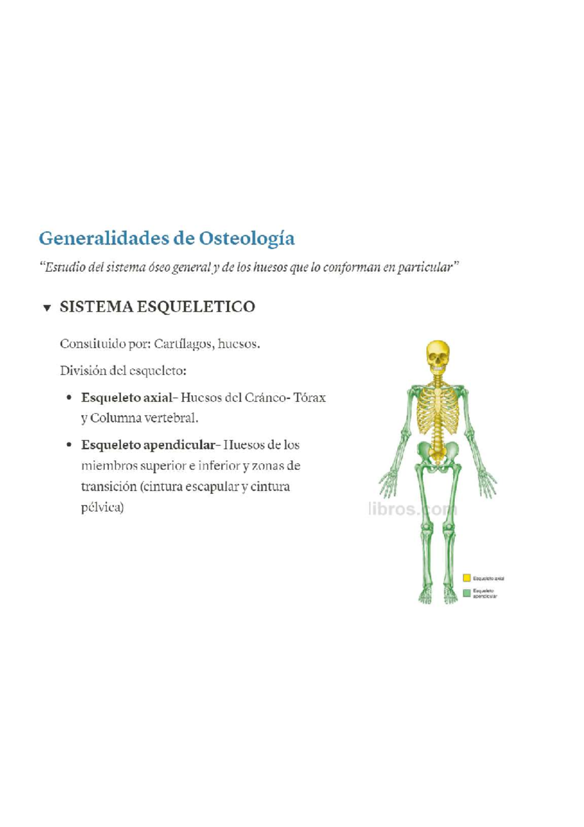 Generalidades osteología - Anatomía Humana - Studocu