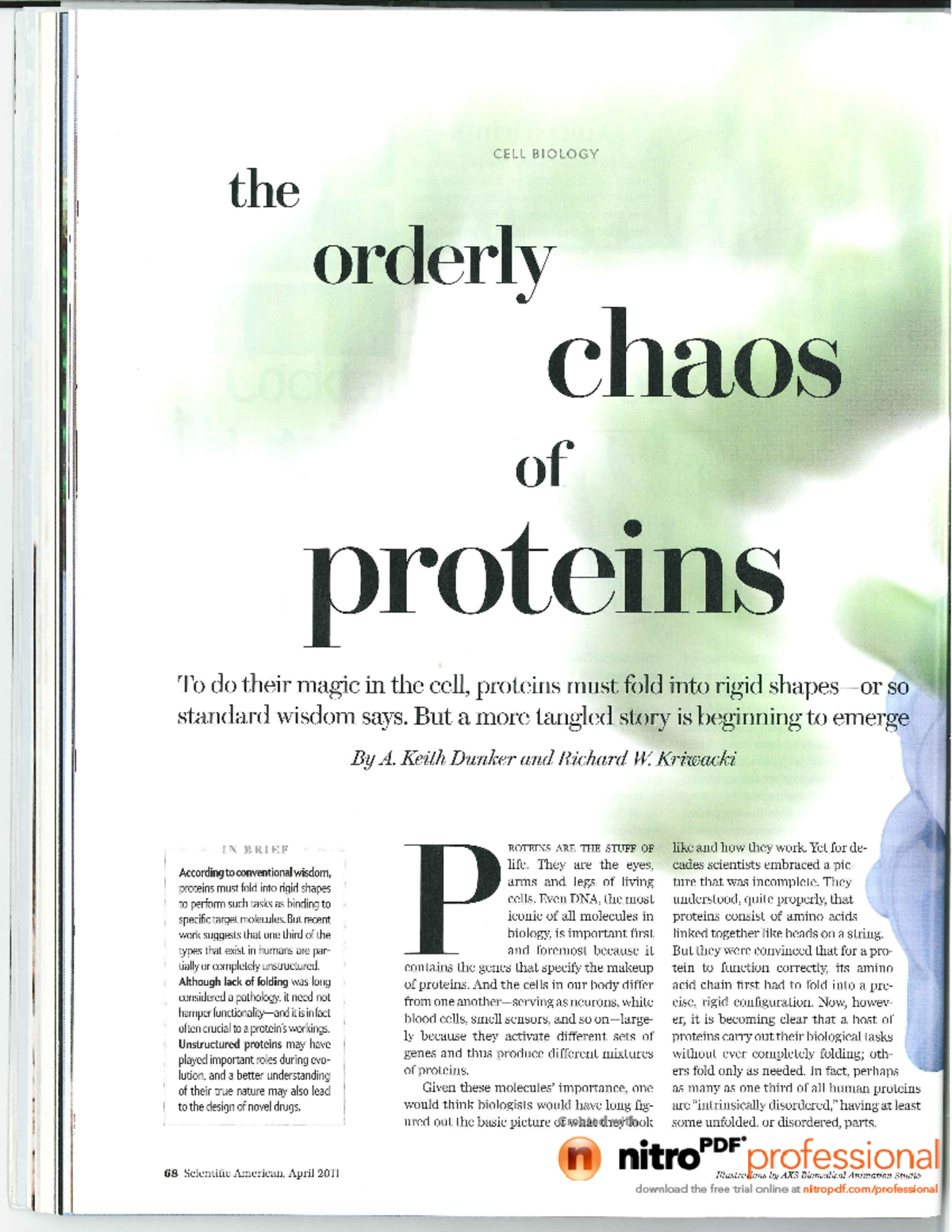 New insights into protein folding - CELL BIOLOGY the orderly chaos of ...