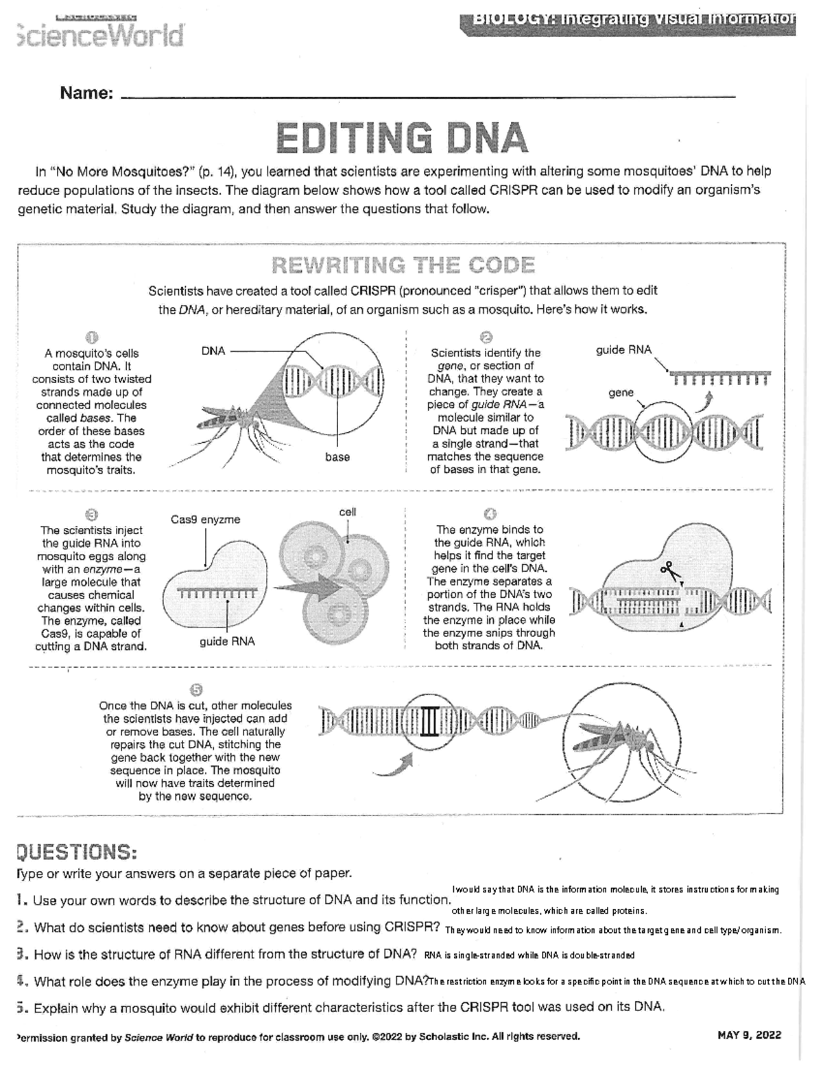 Editing DNA - Biology - Studocu