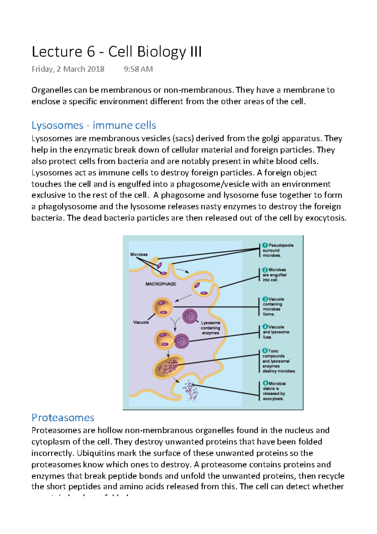 Movement In And Out Of Cells Igcse Biology Notes 2020
