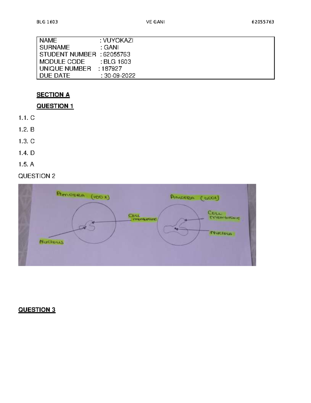 BLG 1603 assignment 2 - NAME : VUYOKAZI SURNAME : GANI STUDENT NUMBER ...