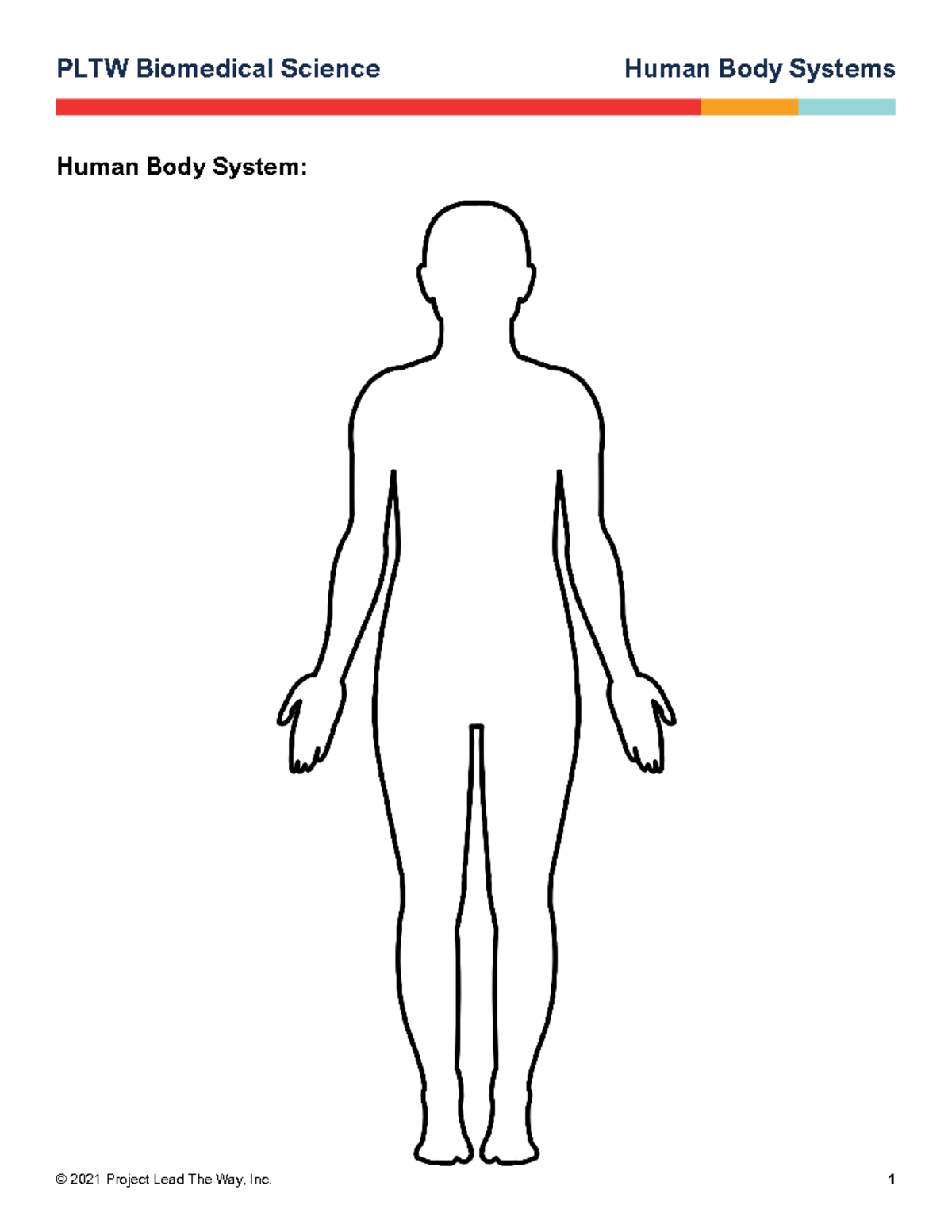 Body System Organizer - Cool - PLTW Biomedical Science Human Body Systems © 202 1 Project Lead ...