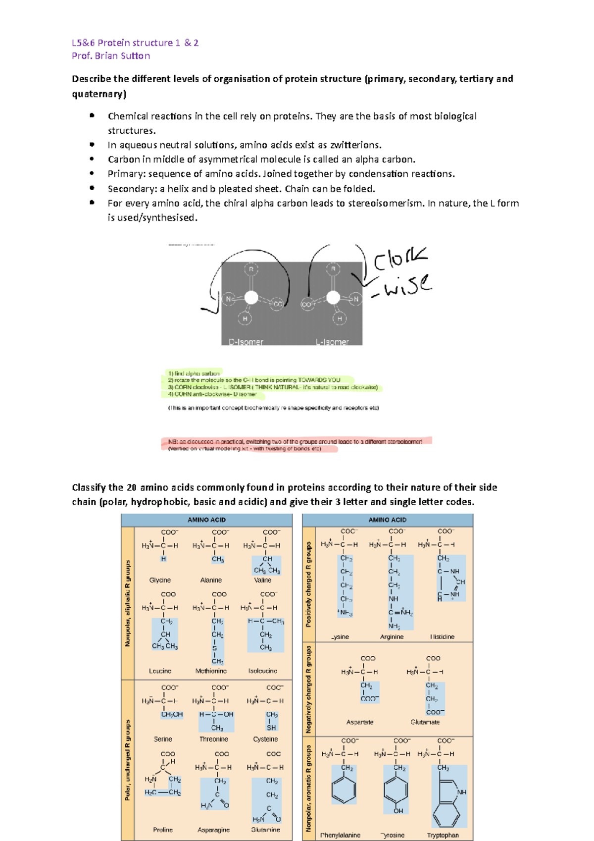5&6 Protein structure - Prof. Brian Sutton Describe the different ...