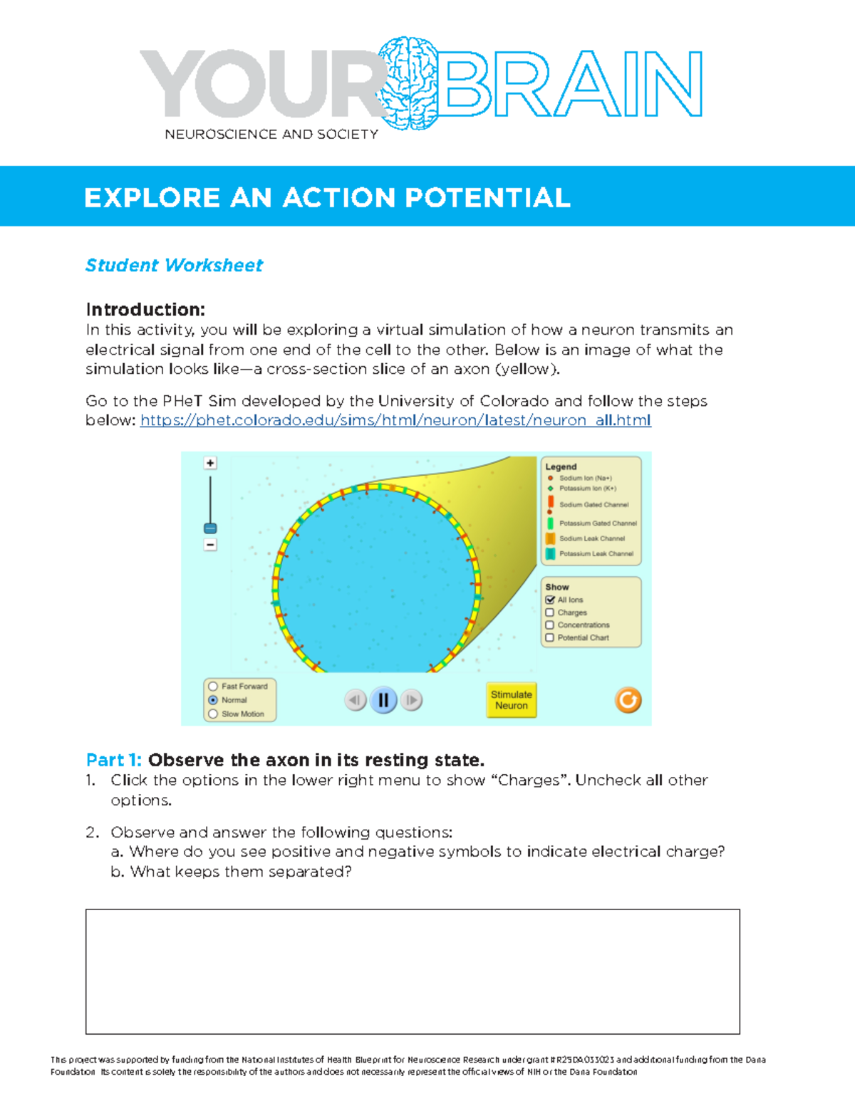 Action Potential Worksheet - NEUROSCIENCE AND SOCIETY EXPLORE AN ACTION ...