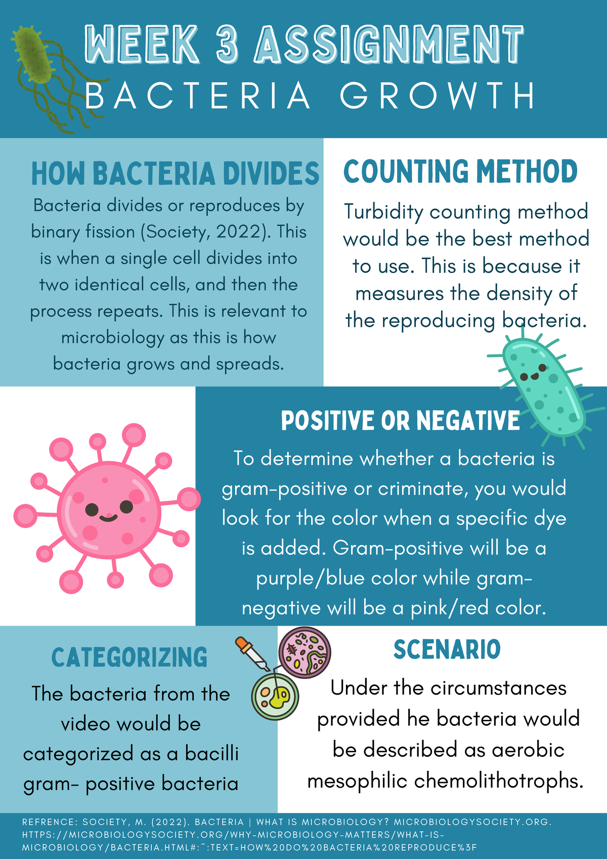 Week infographic - Bacteria divides or reproduces by binary fission ...