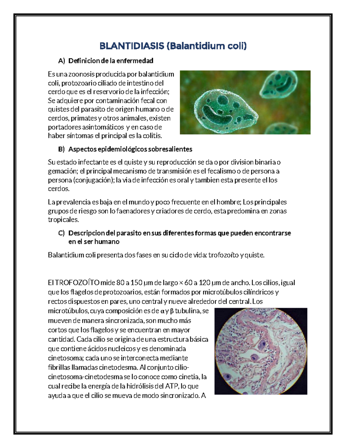 Practica 5 - balantidiasis balantidiasis balantidiasis balantidiasis ...