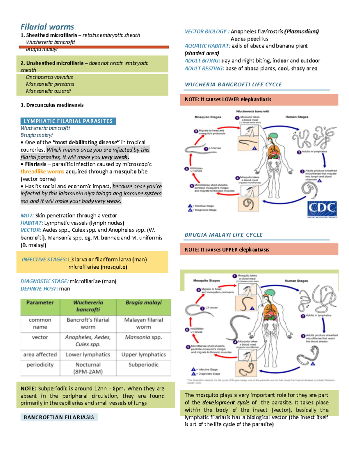 Filarial worms - Sheathed microfilaria – retains embryotic sheath ...