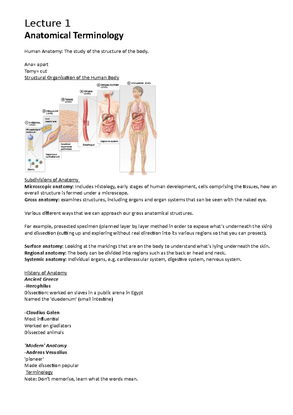 Lecture 1 - Lecture 1 Anatomical Terminology Human Anatomy: The study ...