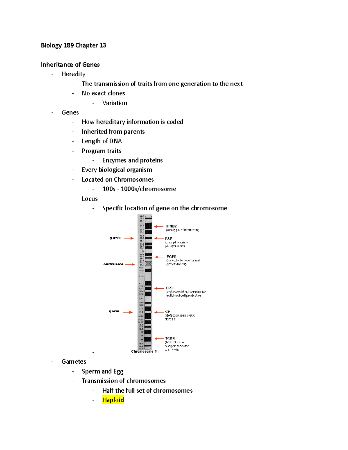 Biol 189 Chapter 13 - Biology 189 Chapter 13 Inheritance of Genes ...