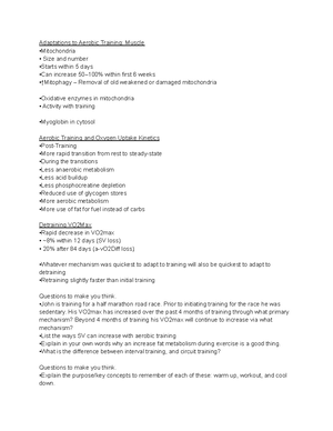 Assignment #5 Hamstring Stretches - Hamstring Stretches: Seated ...