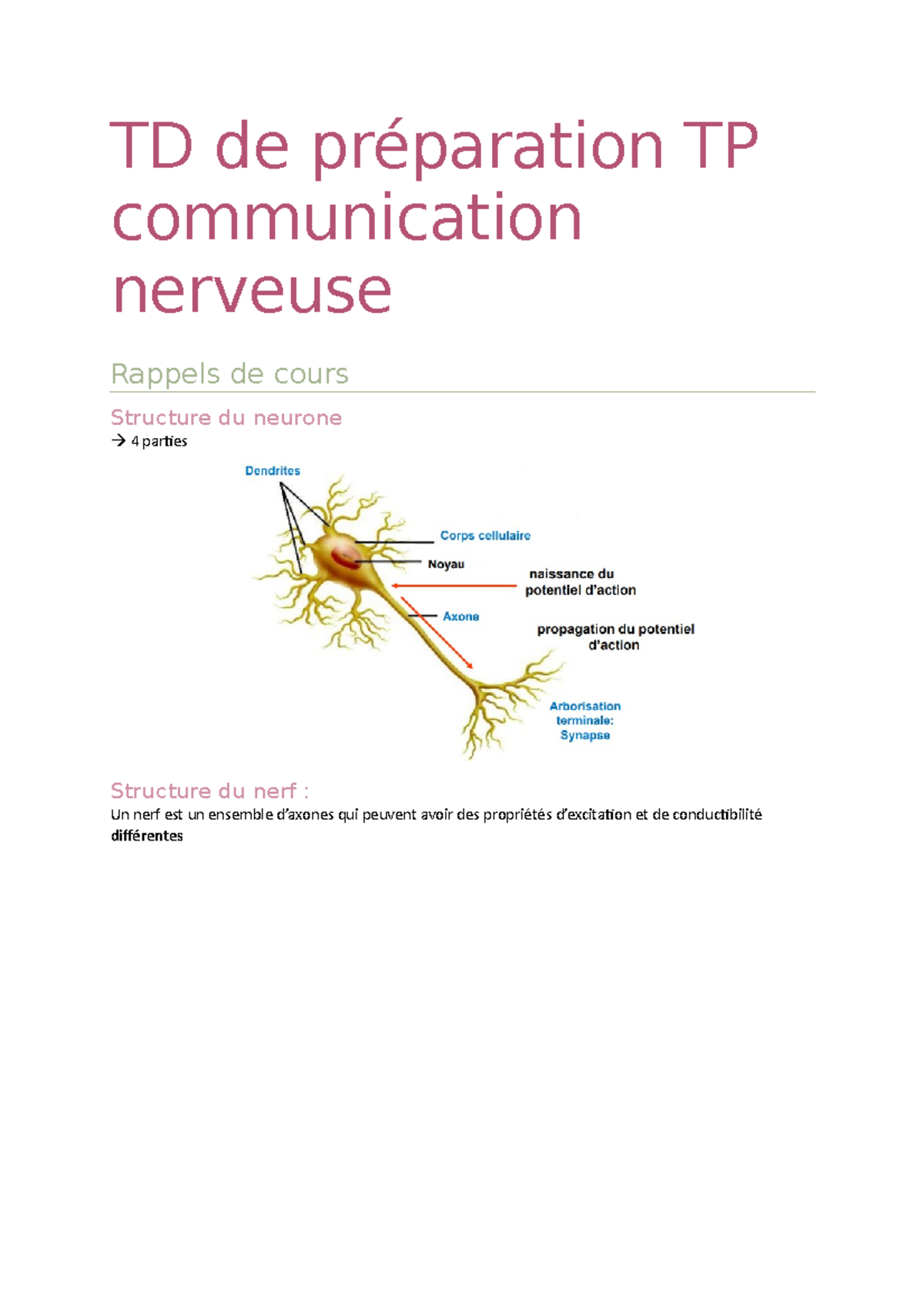 3.03A - TD1 - 3.03A Préparation au TP 1 - TD de préparation TP communication nerveuse Rappels de ...