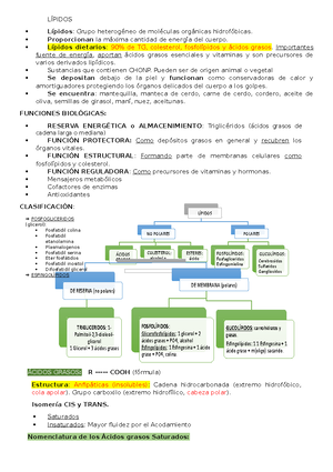 Región Rupa Rupa y Región Omagua Para Segundo Grado de Secundaria ...