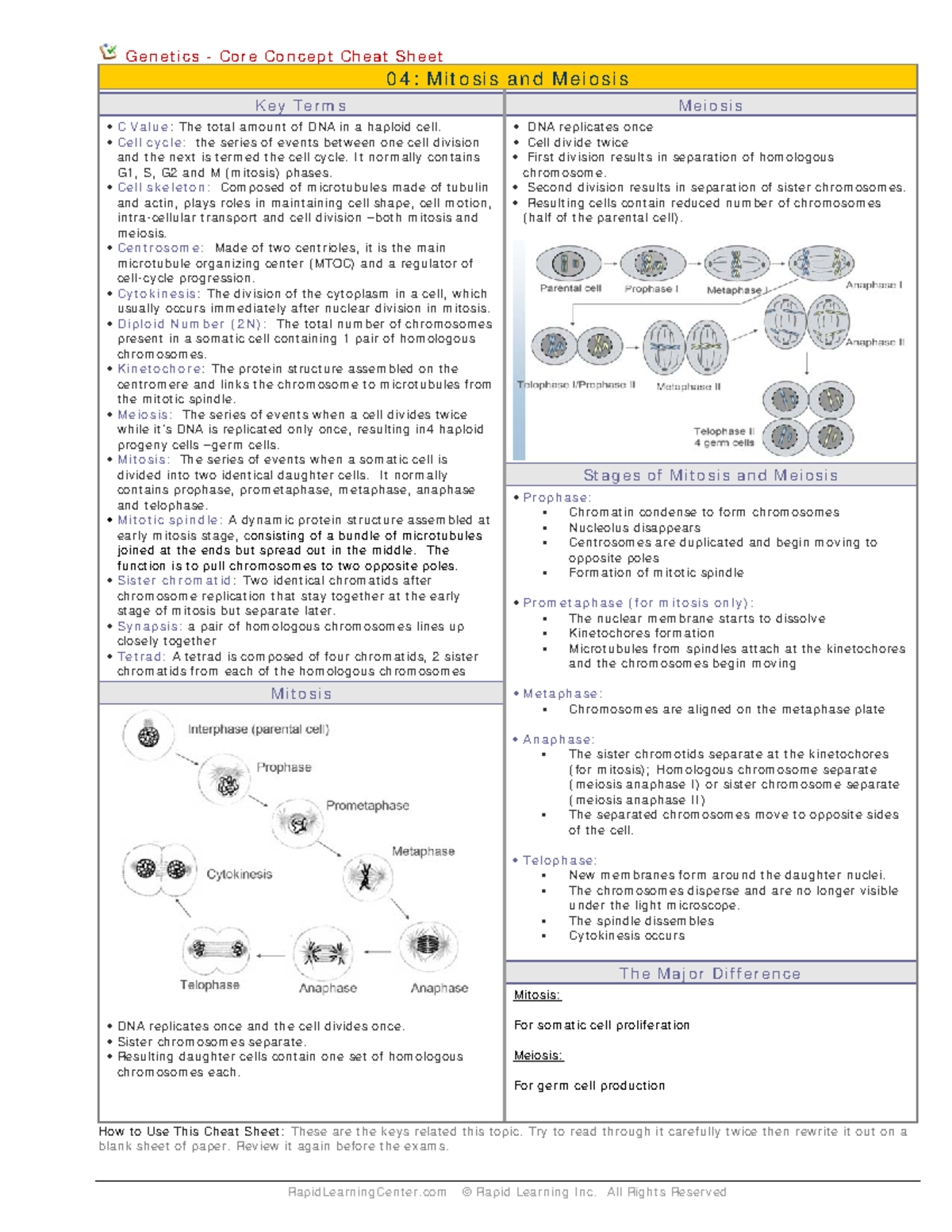 GEN CS04 Mitosis And Meiosis - RapidLearningCenter © Rapid Learning Inc ...