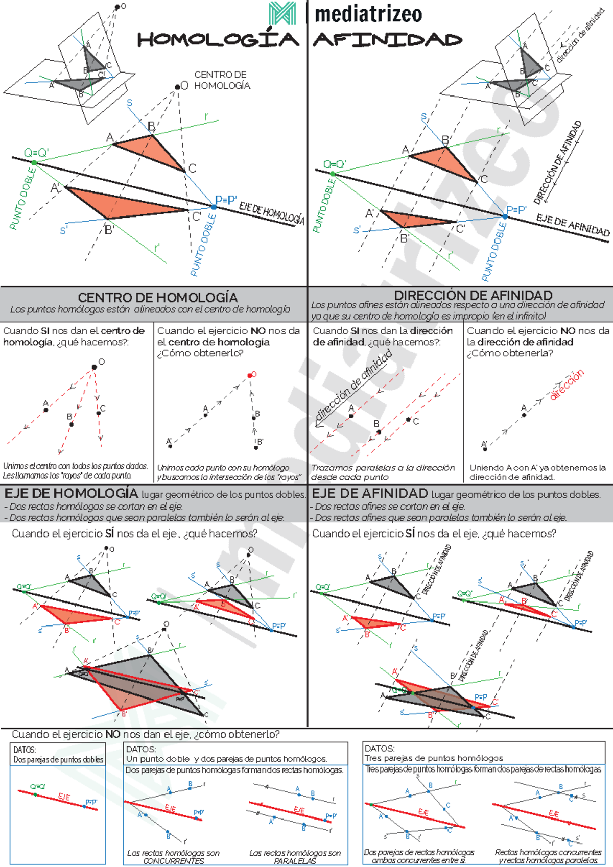 Resumen Homología- Afinidad - A B C Bí Aí Cí O HOMOLOgiA AFINIDAD A B C ...