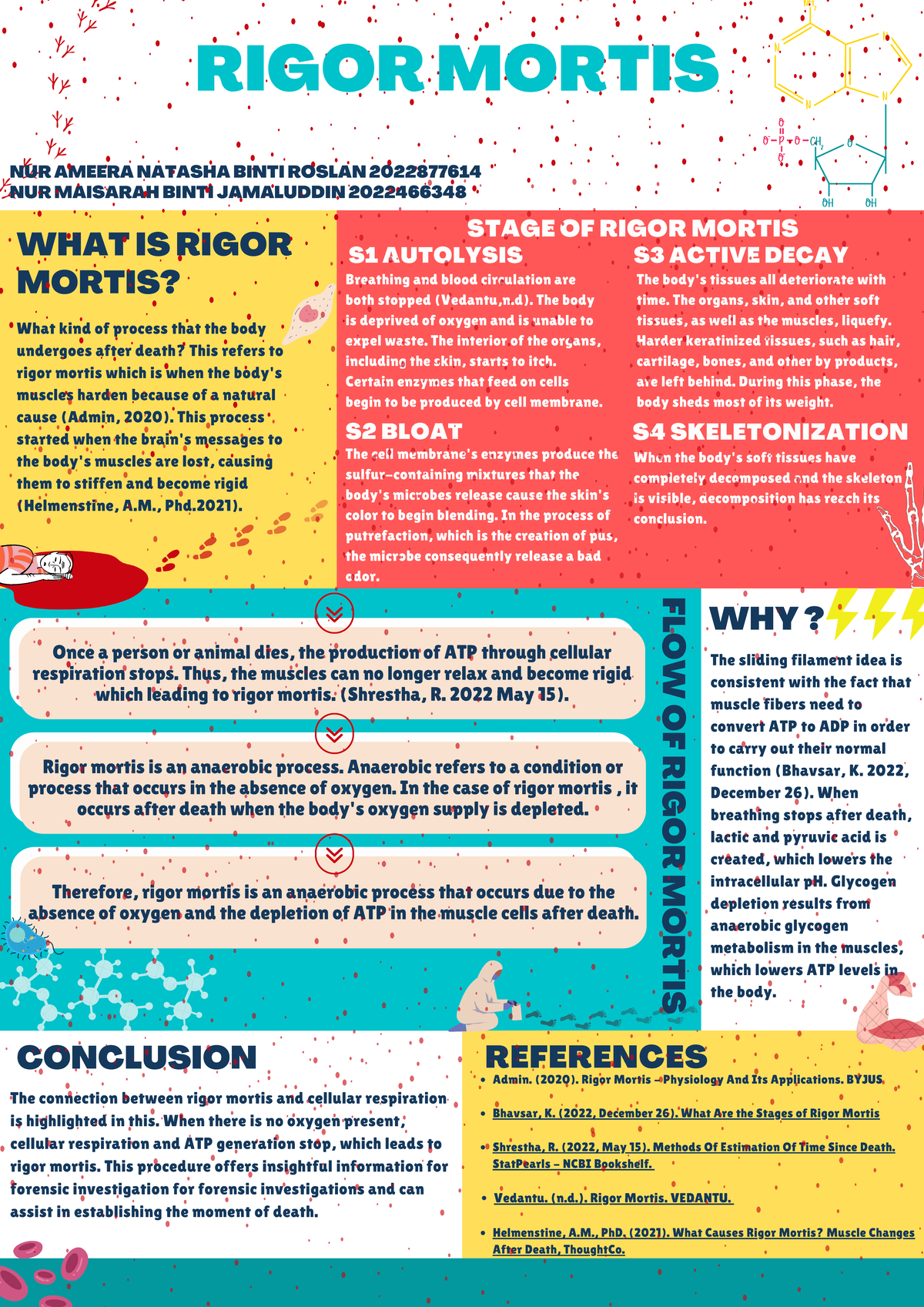 Rigor Mortis CASE Study BIO150 - What kind of process that the body ...
