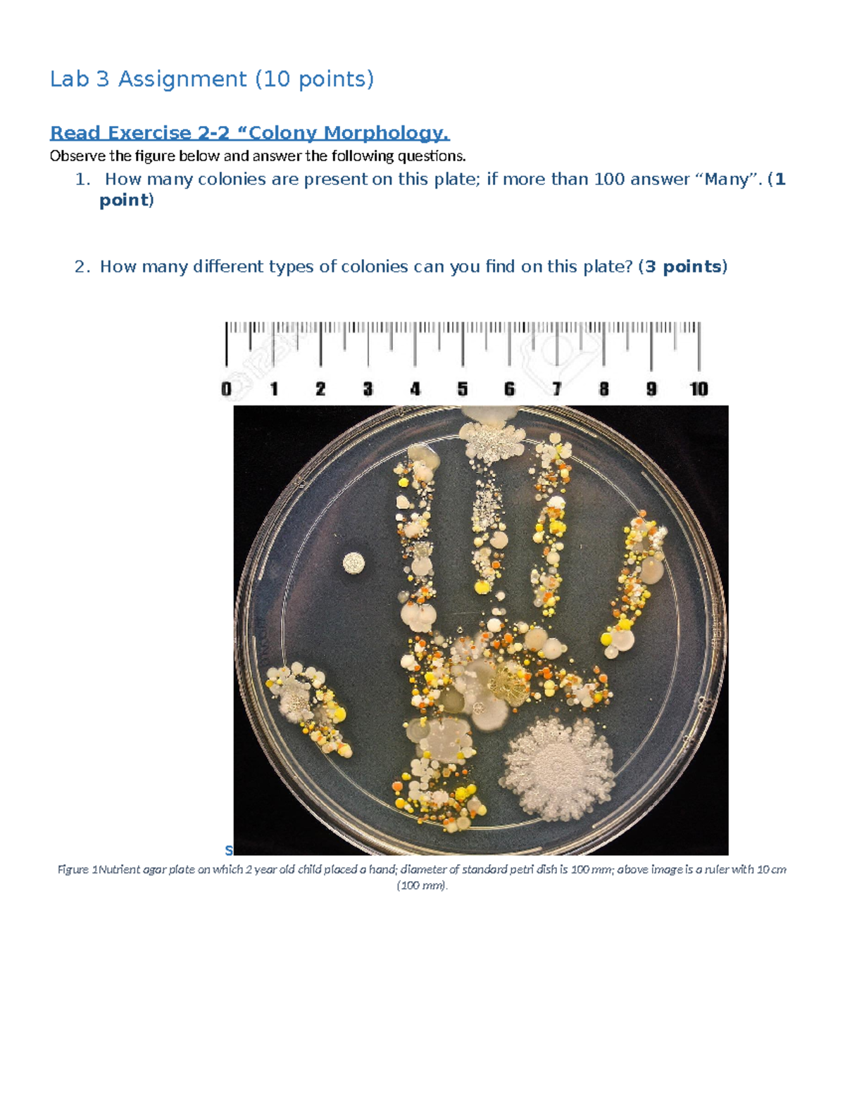 Lab 3 Assignment - Tagged - Lab 3 Assignment (10 points) Read Exercise ...