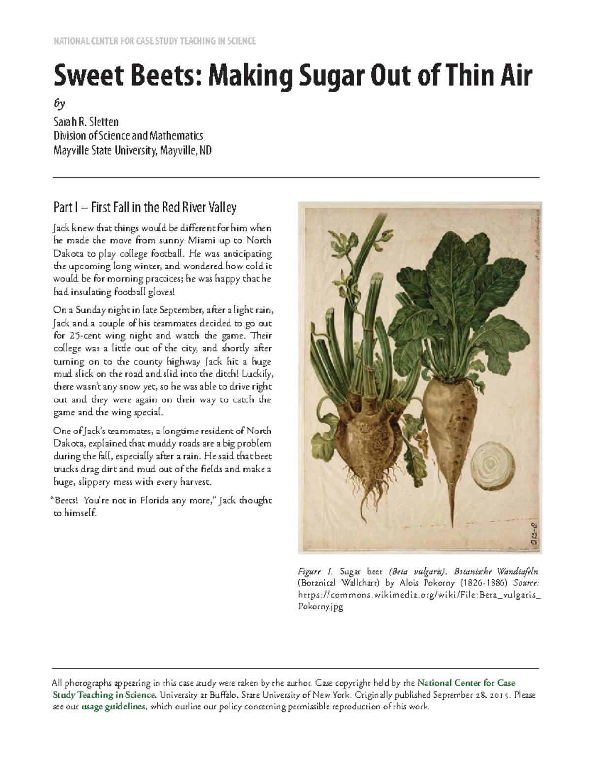 Photosynthesis beets flip - Histology of Cell and Tissue - UiTM - Studocu