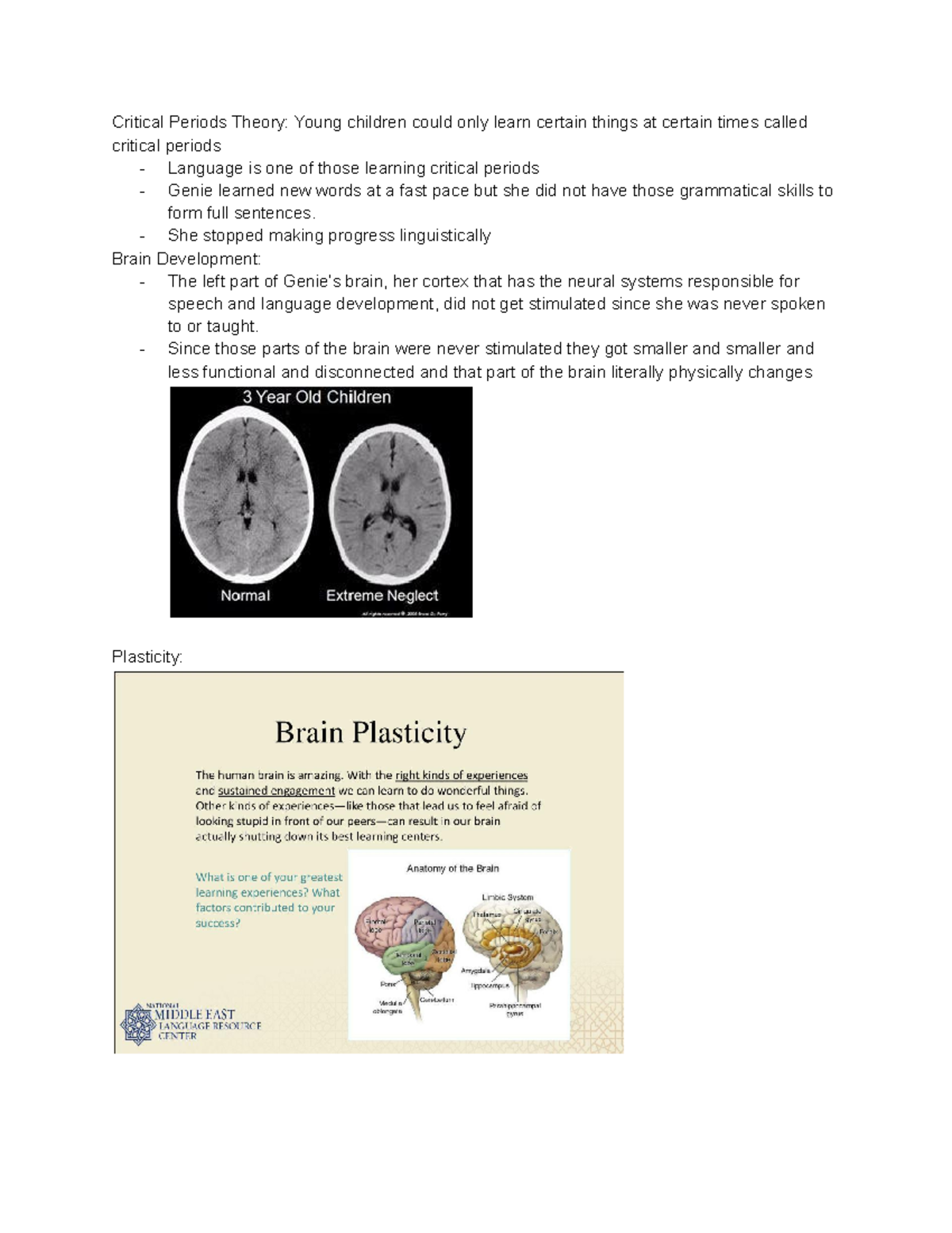 Plasticity and Development Genie - PSYC 204 - Southeastern - Studocu