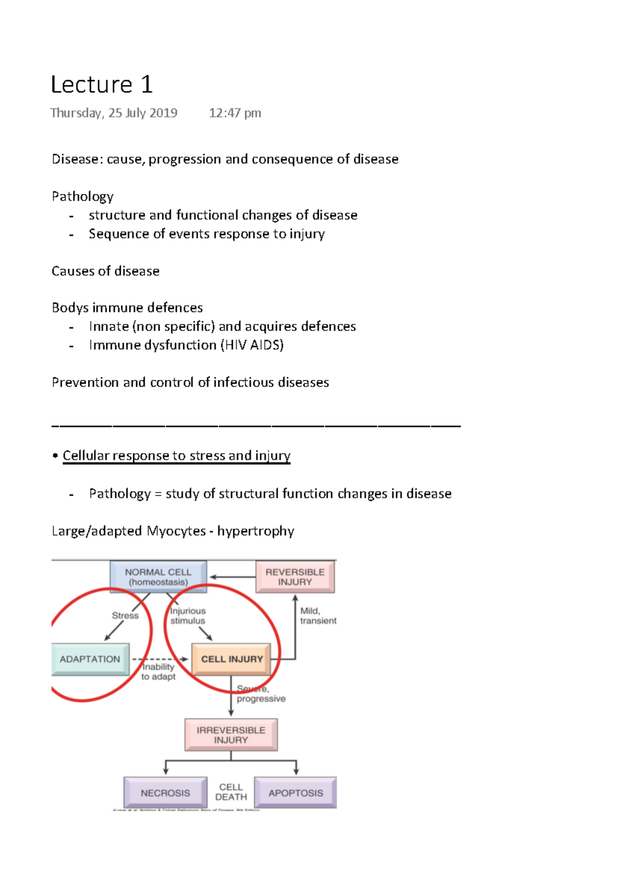 Lecture 1 - Lec 1 - LQB185 - QUT - Studocu