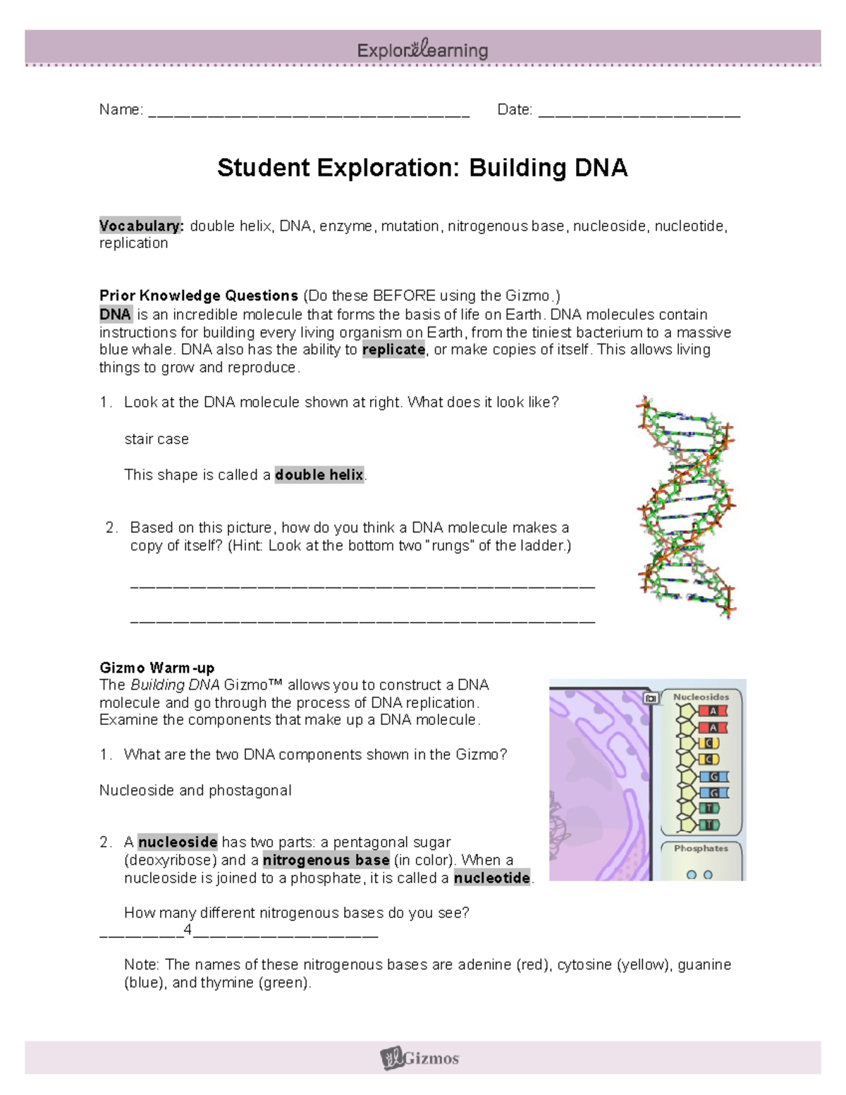 DNA Gizmo handout - Unit - Name ...