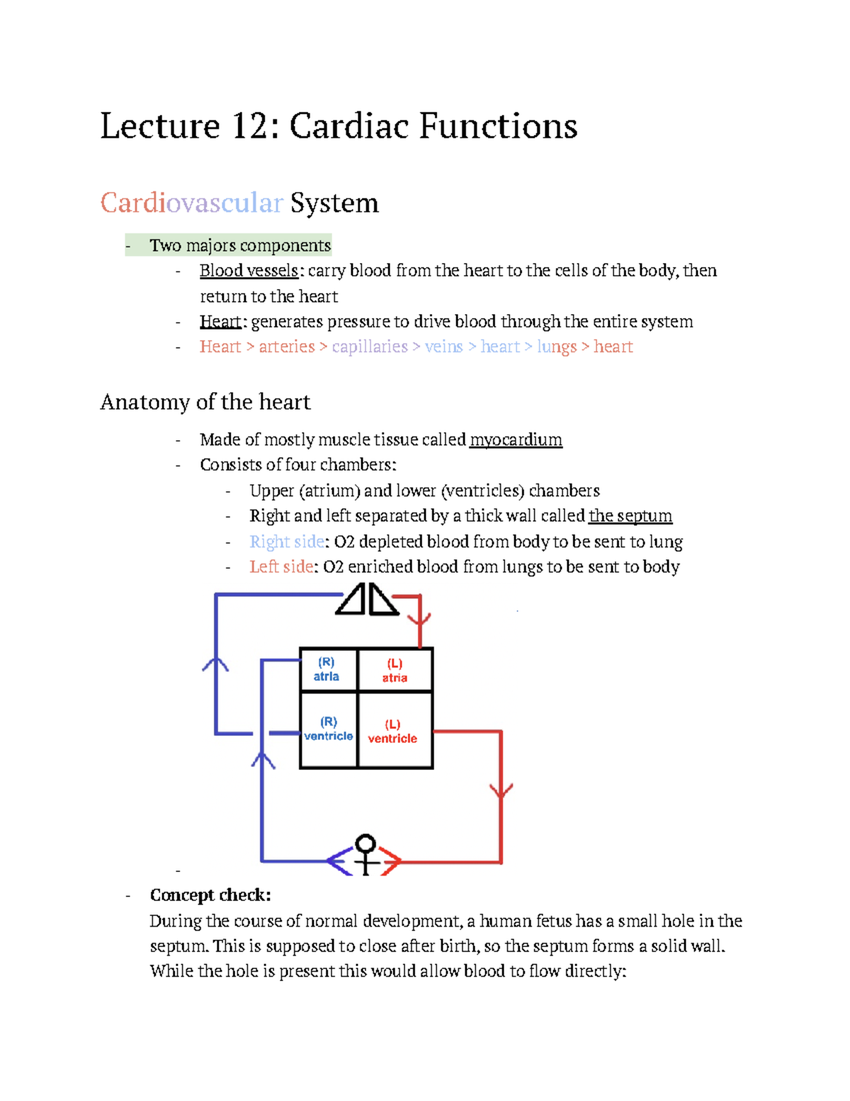 BIO129 LEC Lesson 12 - Dr. David Hoekstra - Lecture 12: Cardiac Functions Cardiovascular System ...