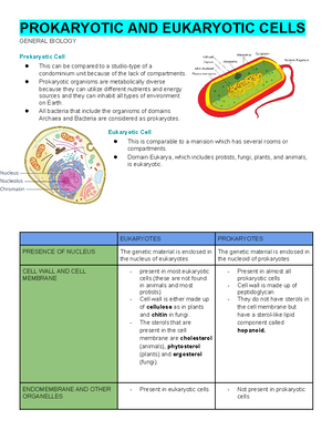 Subcellular Organelles- Study Guide - SUBCELLULAR ORGANELLES GENERAL ...