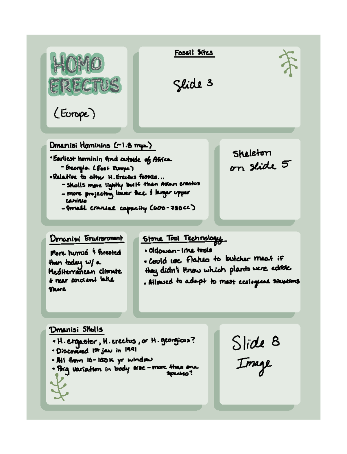 Homo Erectus (Europe) - Does not include slide images. - Fossil sites ...