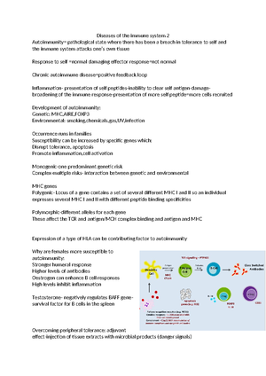 Pathogenesis of Mycobacterium tuberculosis infection - Pathogenesis of ...