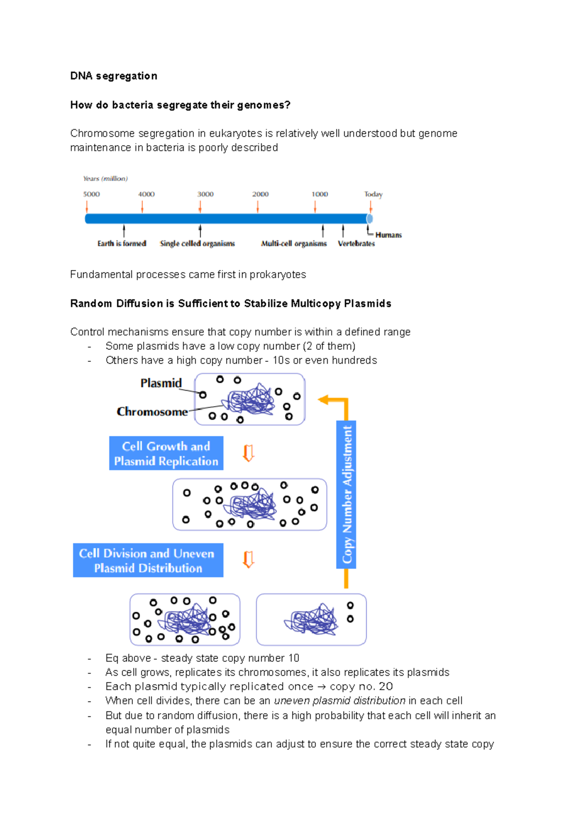 BIOL21101 lecture 12 - DNA segregation How do bacteria segregate their ...