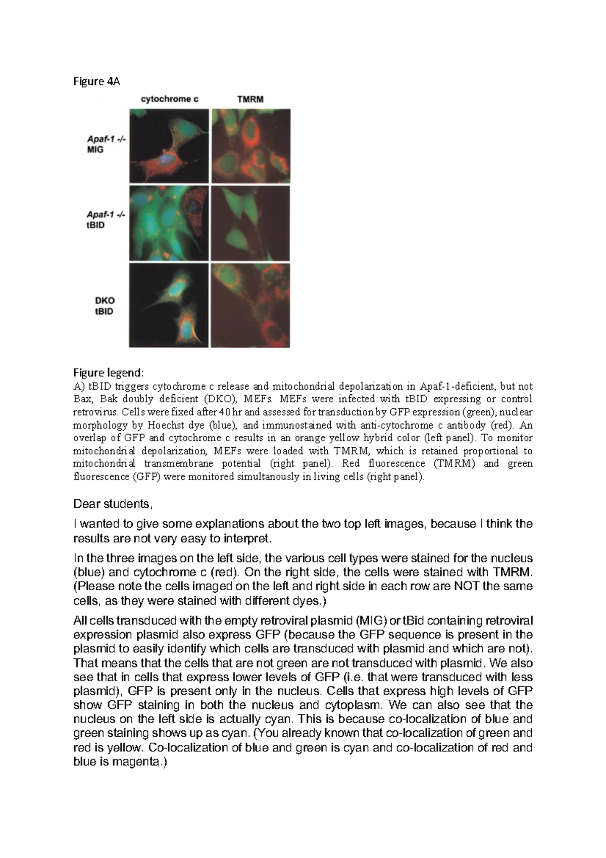Explanations for Figure 4A of final exam paper - Figure 4A Figure ...