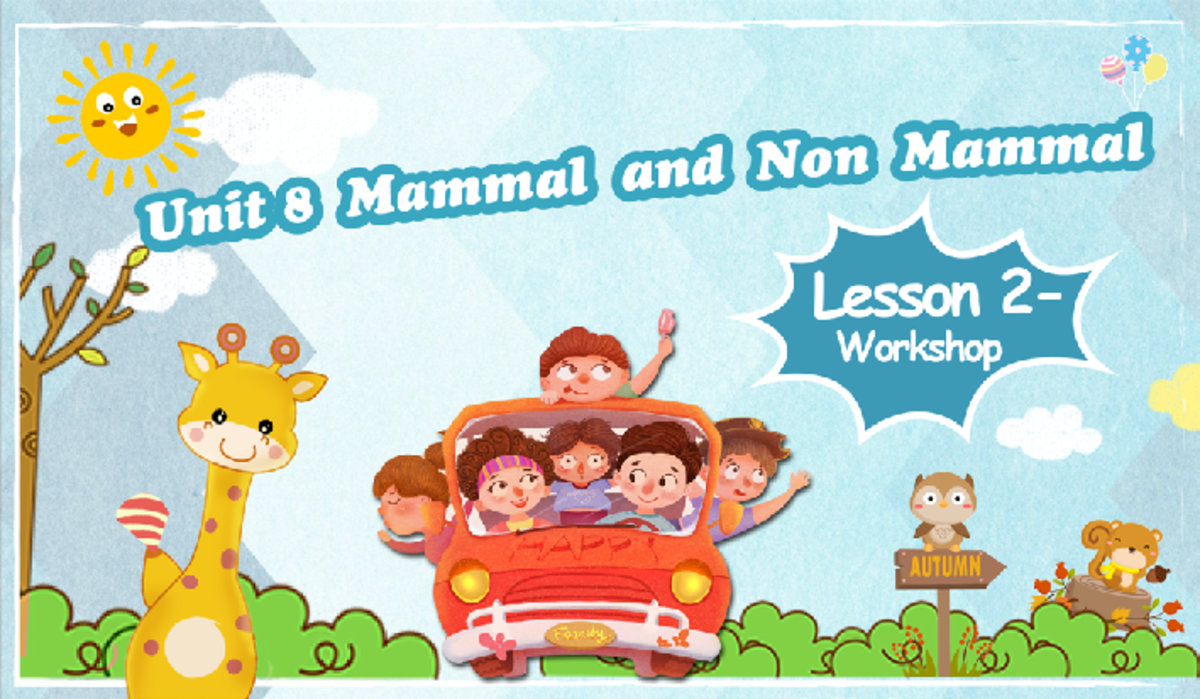 Pre intermidiate U8 L2 - Business Analysis - Studocu